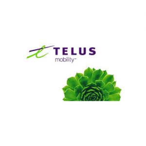 Telus Mobility - Icing